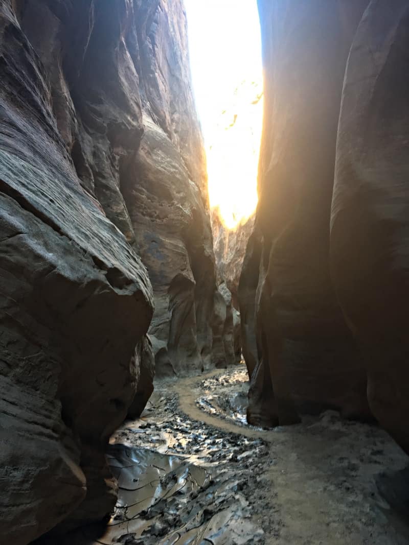 Your Guide to Wire Pass Slot Canyon - Tattling Tourist