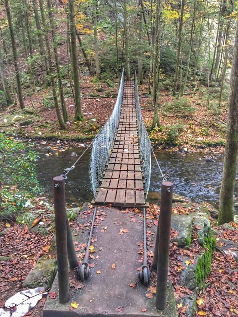 How I Got Lost on the Foster Falls Trail - Tattling Tourist