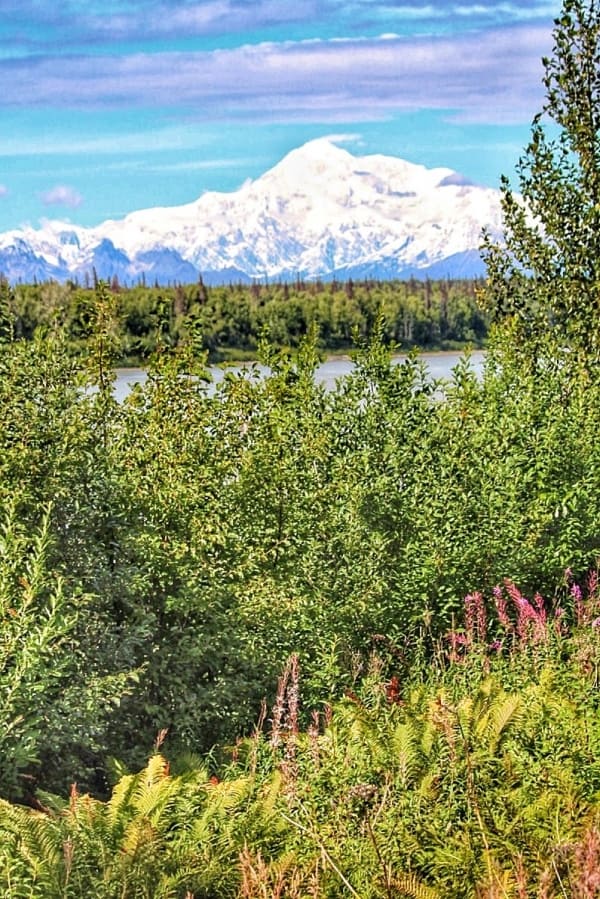 McKinley Explorer Train Ride from Denali to Anchorage, Alaska ...
