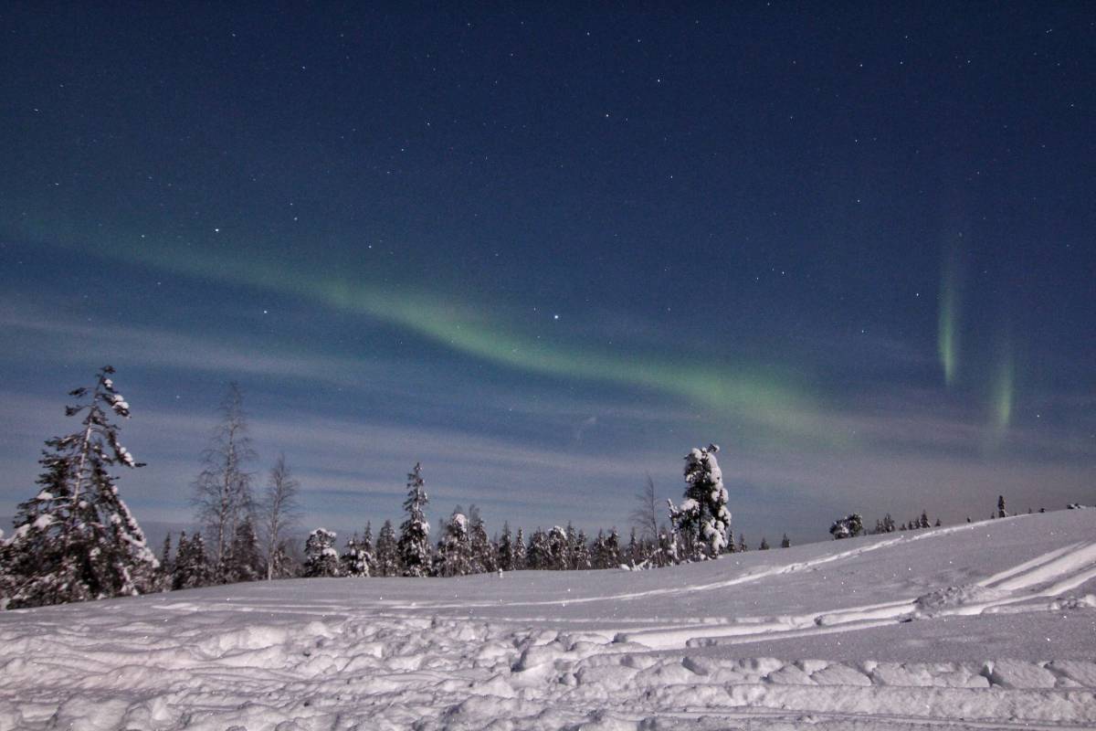 Lapland Welcome: Northern Lights Tour and Finnish Fortune Telling ...