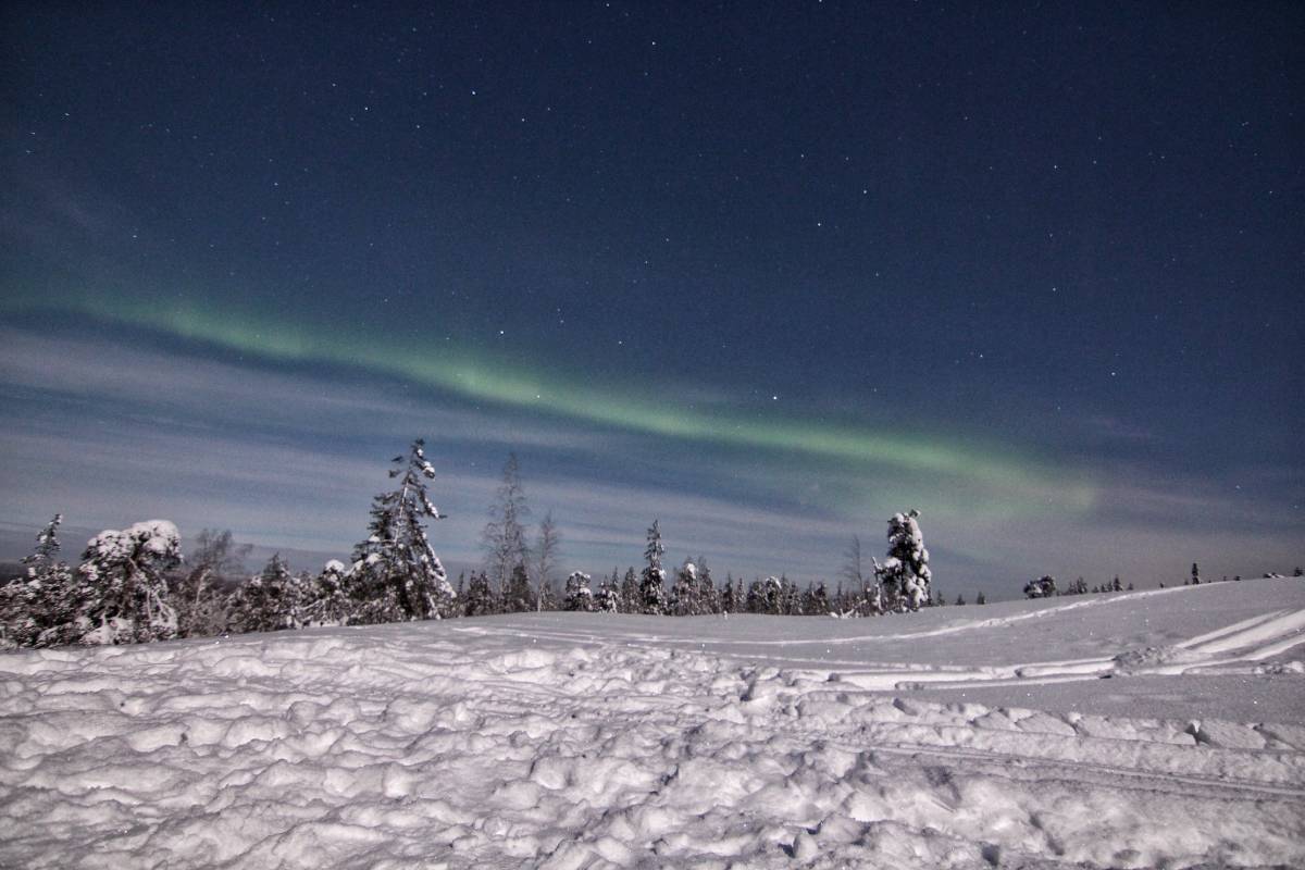 Lapland Welcome: Northern Lights Tour and Finnish Fortune Telling ...