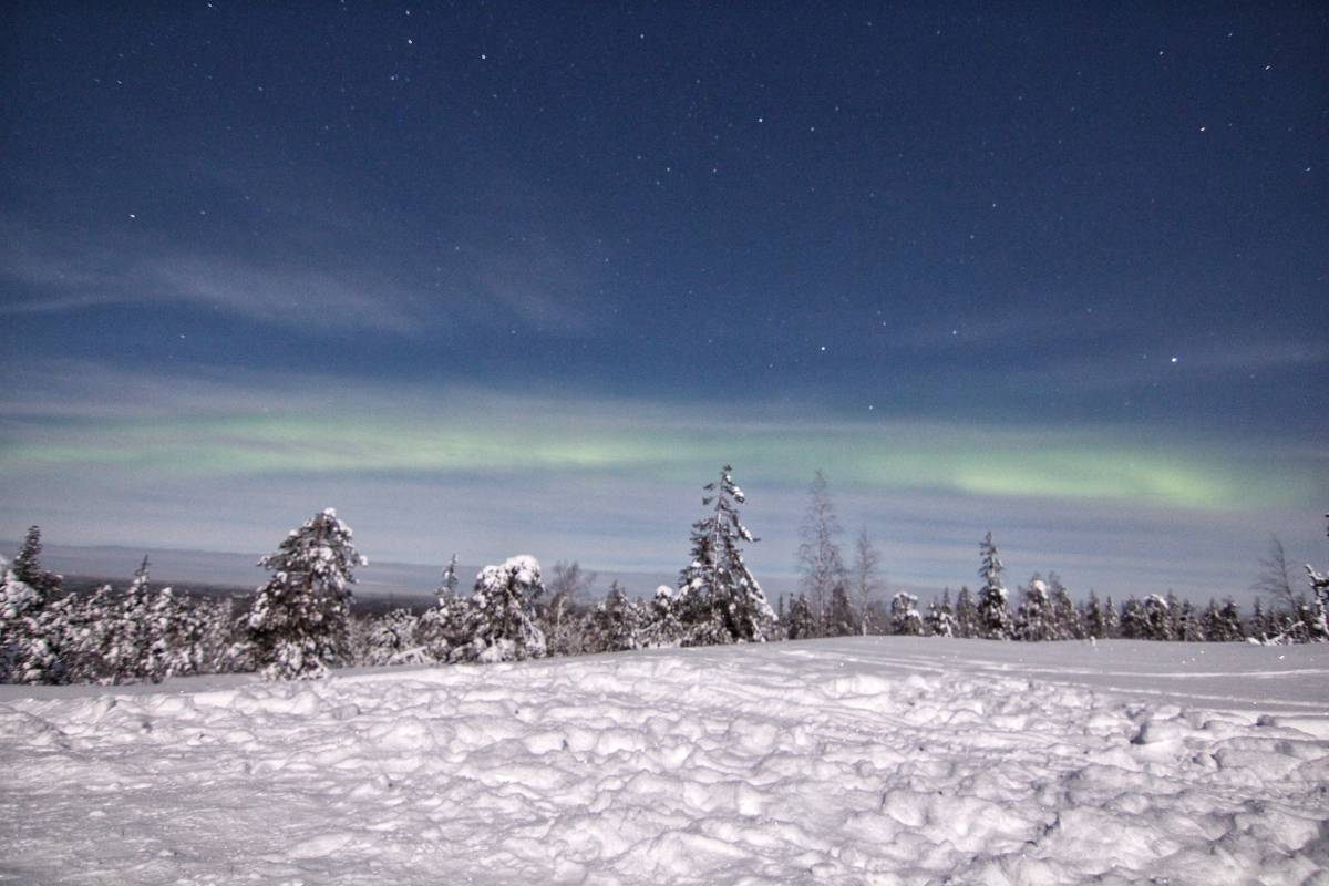 Lapland Welcome: Northern Lights Tour and Finnish Fortune Telling ...